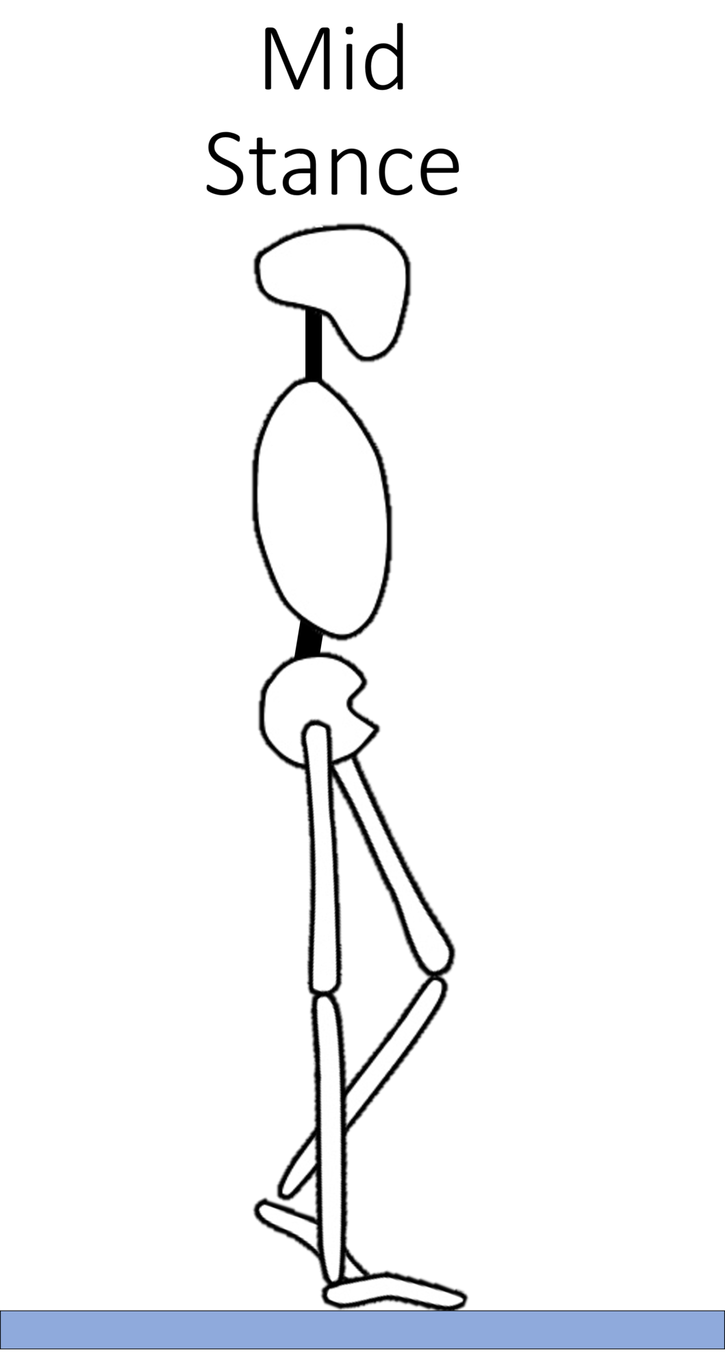 歩行分析～観察すべきポイントと臨床でよくみる異常現象のまとめ～ - 白衣のドカタ