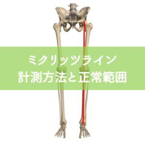 膝関節のFTA（femoro-tibial angle）とは？計測方法や生理的外反の理由を解説！ | 白衣のドカタ
